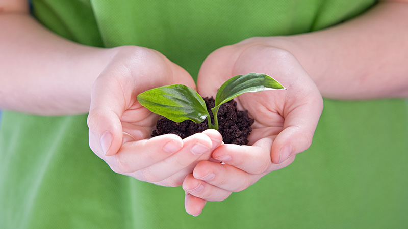 SWCD E-ACTION CENTER